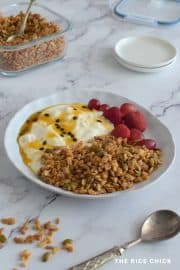 Puffed Rice Recipes - The Rice Chick