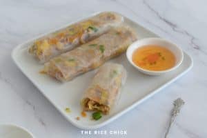 Pork Vietnamese Spring Rolls - The Rice Chick