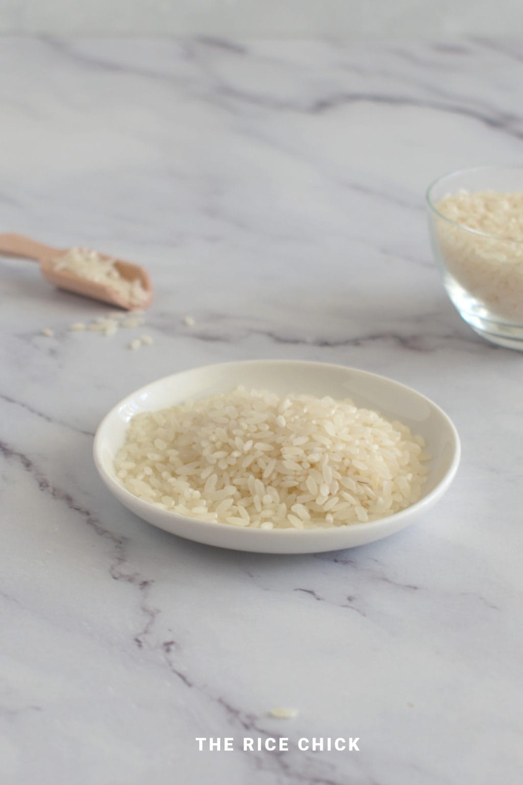 Arborio Rice Substitutes - The Rice Chick